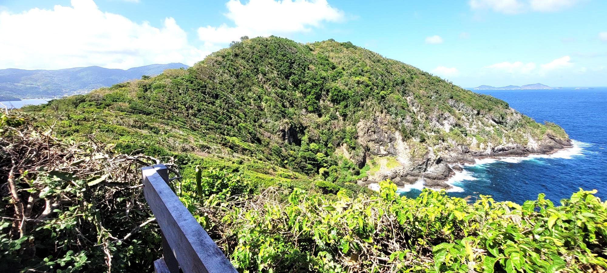 Little Tobago - TriniSue